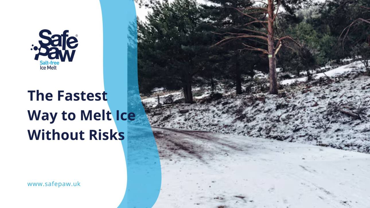 Speed Vs. Safety: The Fastest Way To Melt Ice Without Risks - Pet Safe ...